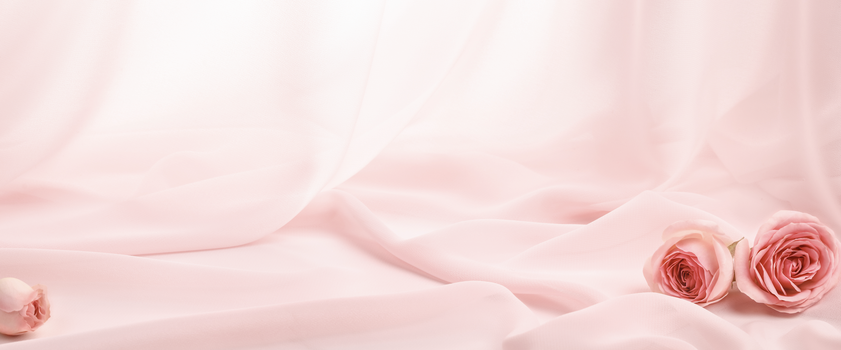 crop-274-114-2737-1140-0-drap_roses.png